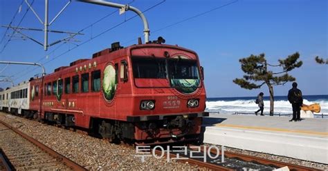 바다와 산봉우리 벗 삼은 바다열차and정선아리랑열차