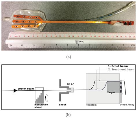 A The Silicon Diode Array On A Standard Endorectal Balloon Next To A Download Scientific