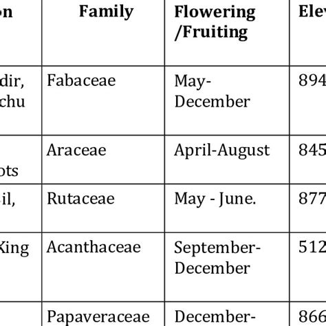 Herb Plants Used By Traditional Healers To Treat Various Ailments And