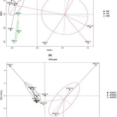 PCA And NMDS Analysis Of Microorganisms Composition At The Phylum Download Scientific Diagram