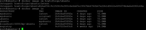 Getting Started With Pre Built Docker Images