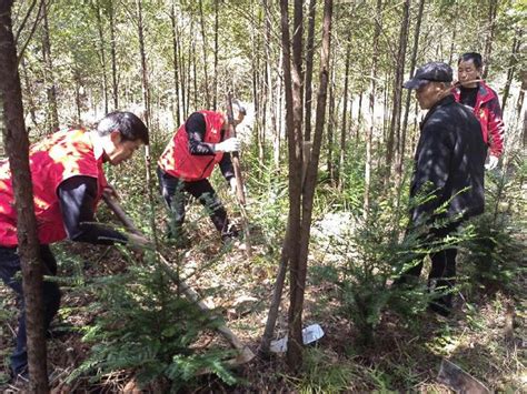 党旗飘扬学雷锋 植树护绿扬新风 益加壹公益媒体平台