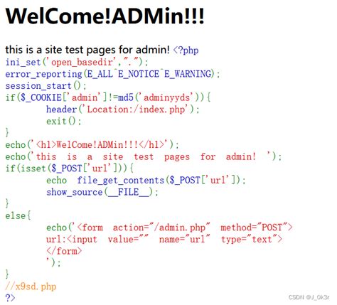 Sictf2023 Web Wp2023 Sictf Csdn博客 Sictf2023 Web Wp2023 Sictf Csdn博客
