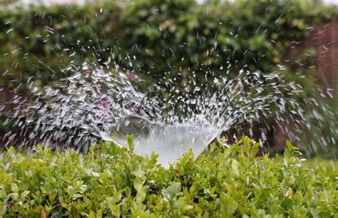 When To Schedule An Irrigation Audit Tmi Solutions