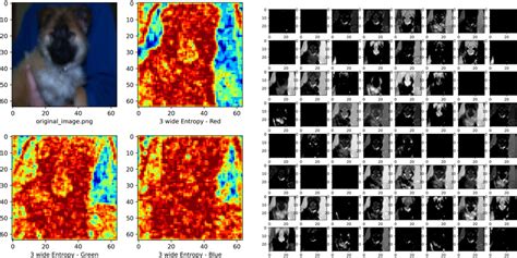 Image With A 3 Wide Entropy Of Primary Colors And Cnn Level 2 Download Scientific Diagram