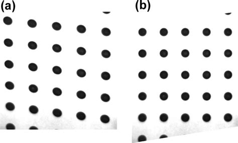 Grid Calibration Method A Image Before Calibration With Perspective Download Scientific