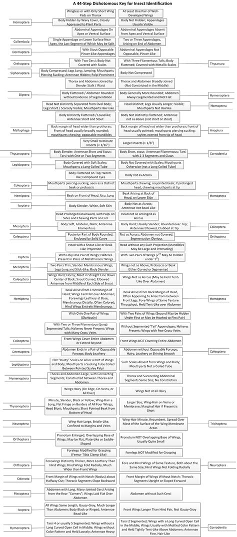 The Participatory Design Of A Today And Future Digital Entomology Lab