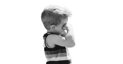 Immunoglobulin Subclass Igg4 Test Igg4 Subclass Healthcare Nt Sickcare