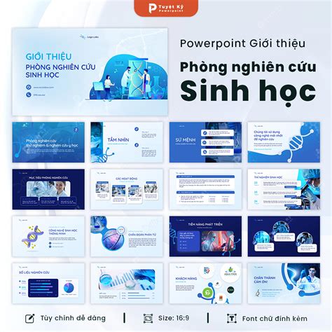 M U Slide Ph Ng Nghi N C U Sinh H C Tuy T K Powerpoint