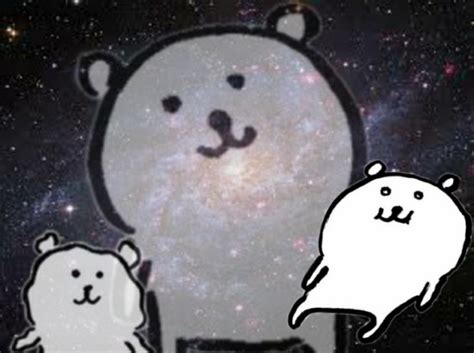 투디갤 와씨발아인다봤다