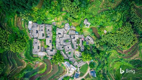 搜尋 Microsoft Bing