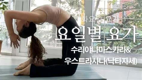 요일별 요가 화요일 요가 수리야 나마스카라 낙타자세 20분 요가 Youtube