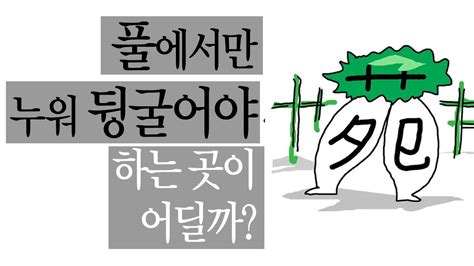 한자퀴즈 누워서 뒹굴어도 되는 곳은 나라 동산 원 Youtube