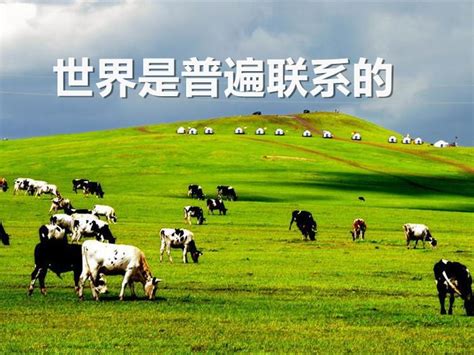 唯物辩证法的联系观 知乎