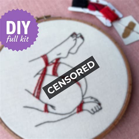 Shibari Legs Erotic Embroidery Kit Fabric Pattern Hoop Thread