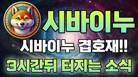 시바이누 코인 시바이누 겹호재 3시간뒤 터지는 미친 소식 꼭 확인하세요 시바이누 시바이누코인 코인 코인