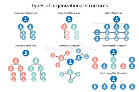 7 Types Of Organizational Structures To Organize The Company