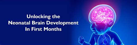 Neonatal Brain Development A Guide On First Months