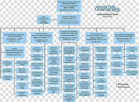 Organizational Chart For Non Profit Board Of Directors A Visual