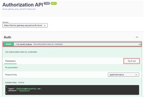 Getting Api Authorization Data