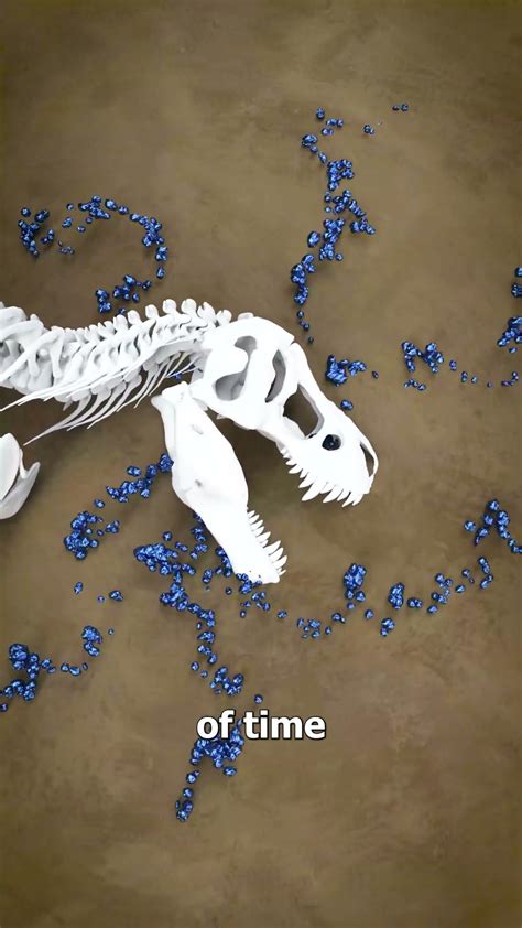 How Fossilization Works 🤔 Youtube