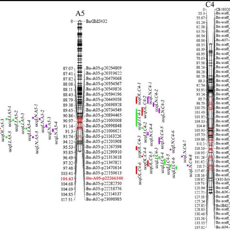 The Locations Of Consensus Qtls For Fatty Acids Identified By
