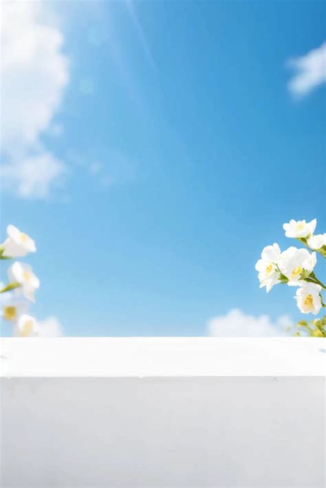 Ai绘制 蓝天白云 鲜花 花瓣网