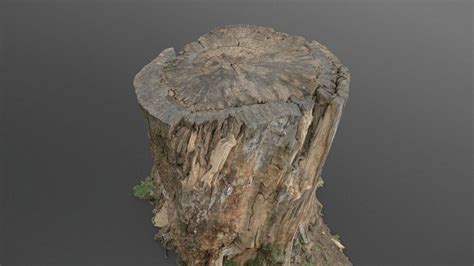 Deforestation 3d Models Sketchfab