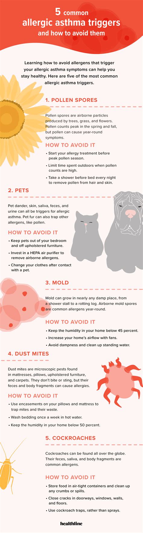 Allergic Asthma Triggers Environmental Mites And More