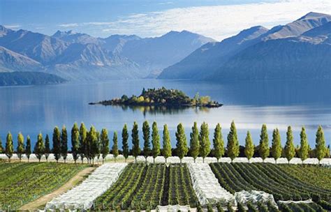 Rippon