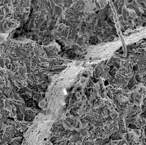 Steel Scanning Electron Microscope Etsy