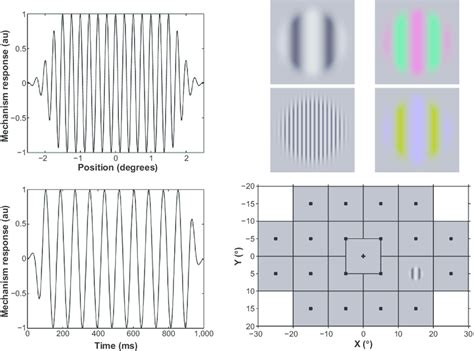 Typical Spatial And Temporal Profiles Of The Stimuli Generated In The