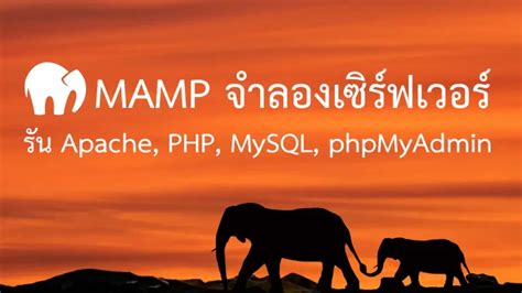 จำลอง Server รัน Apache Php Mysql และ Phpmyadmin ด้วย Wampserver ดีครับดอทคอม