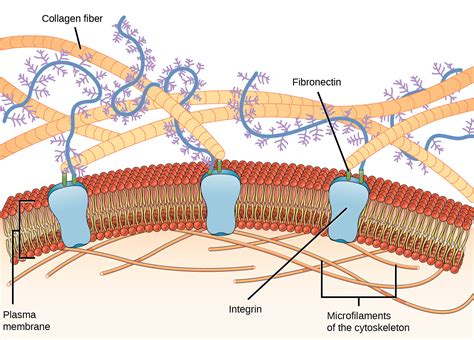 HPC And Molecular Dynamics E4 Computer Engineering