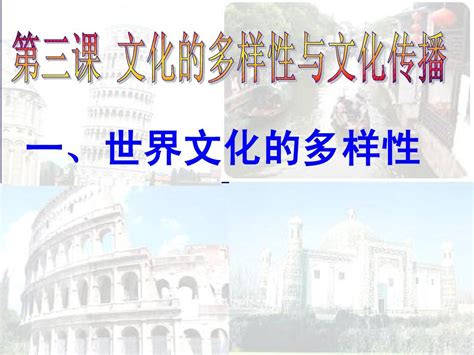 第三课 文化的多样性与文化传播word文档在线阅读与下载无忧文档