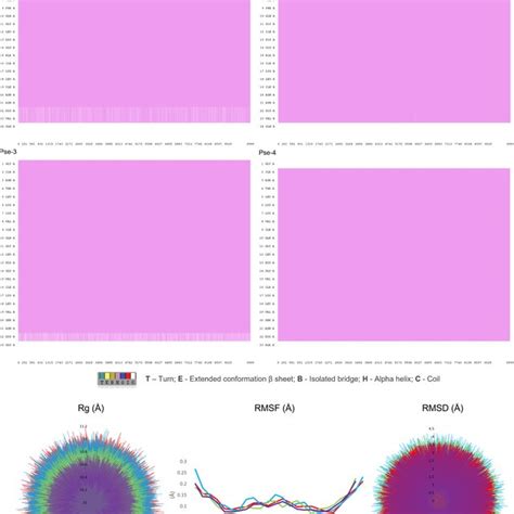 Flexibility Analysis On The Conformational Ensembles In The Secondary