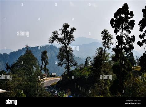 Ariel View Landscape With Tree Ridges And Curvy Road Highway Stock