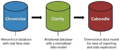 Clarity Data Model Type Imaginative Minds