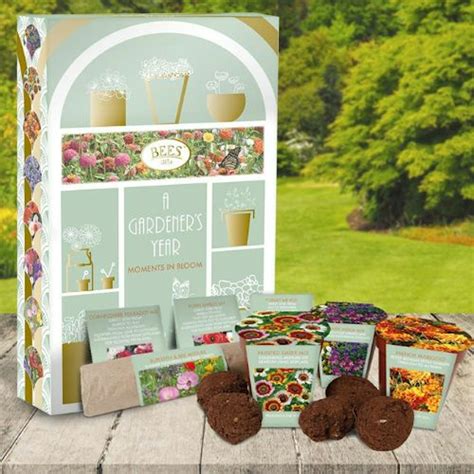 Black Friday Deals On Seed Advent Calendars Are Sow Good