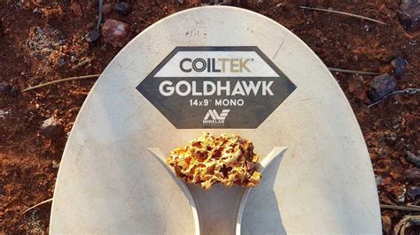 Interview Metal Detector Aftermarket Coil Leader Coiltek