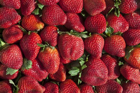 Strawberry Flat ClipPix ETC Educational Photos For Babes And Teachers