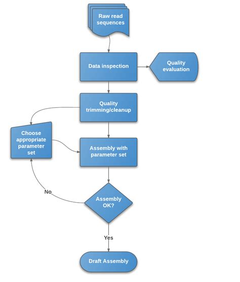 Introduction To De Novo Genome Assembly For Illumina Reads Bioinformatics Documentation