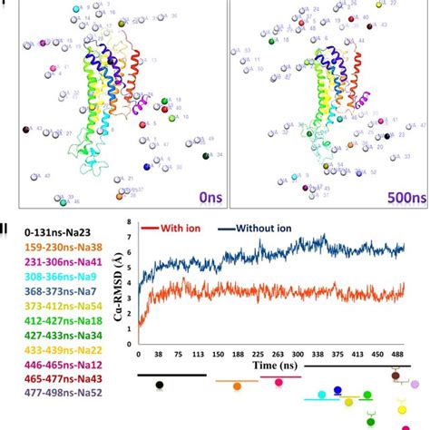 Variations In The Trajectory Of The Receptor Upon Ion Binding I The Download Scientific