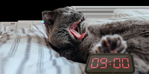 Entenda Arquitetura Orientada A Eventos Devbty