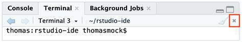 RStudio User Guide Terminal