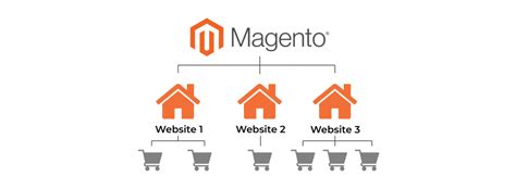 Magento Store View Vs Website Vs Magento Multi Store