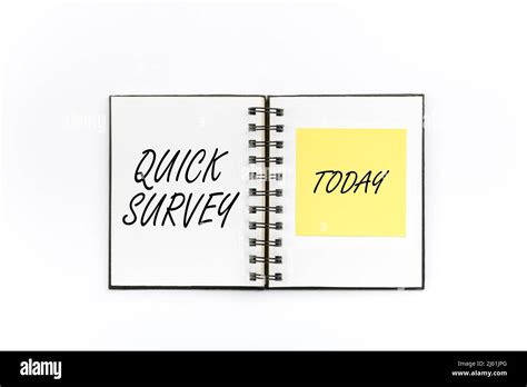 Hand Writing Sign Quick Survey Word Written On Conduct Fast Check On Condition Value Situation