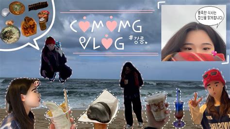 Vlog 꼬로그 코몽이의 나홀로 여행 강릉 편 1박2일 소품샵 강릉맛집 중앙시장 먹거리 혼술 툇마루 아르떼뮤지엄 그리고 해변🌊 일상 브이로그💙