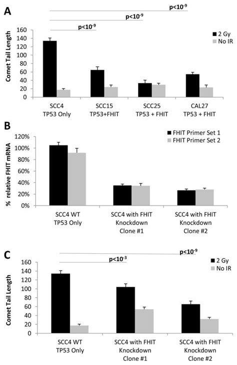 Combined Tp53 Mutation 3p Loss Correlates With Decreased Radiosensitivity And Increased Matrix