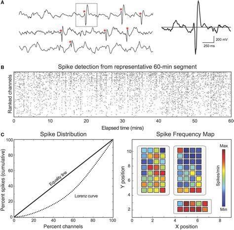 Spike Discharges Were Detected And Encoded In Spike Frequency Maps Download Scientific
